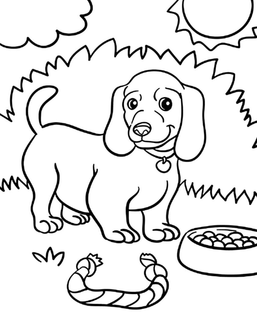 Desenhos Para Colorir Cachorro Desenho De Cachorro Fe - vrogue.co Desenhos Para Colorir Cachorro Desenho De Cachorro Fe - vrogue.co