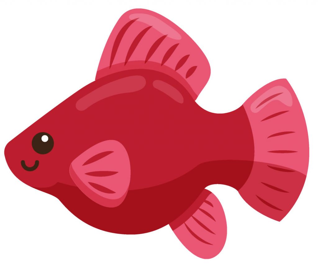 Moldes de peixes: 50 modelos para imprimir - Dicas Práticas
