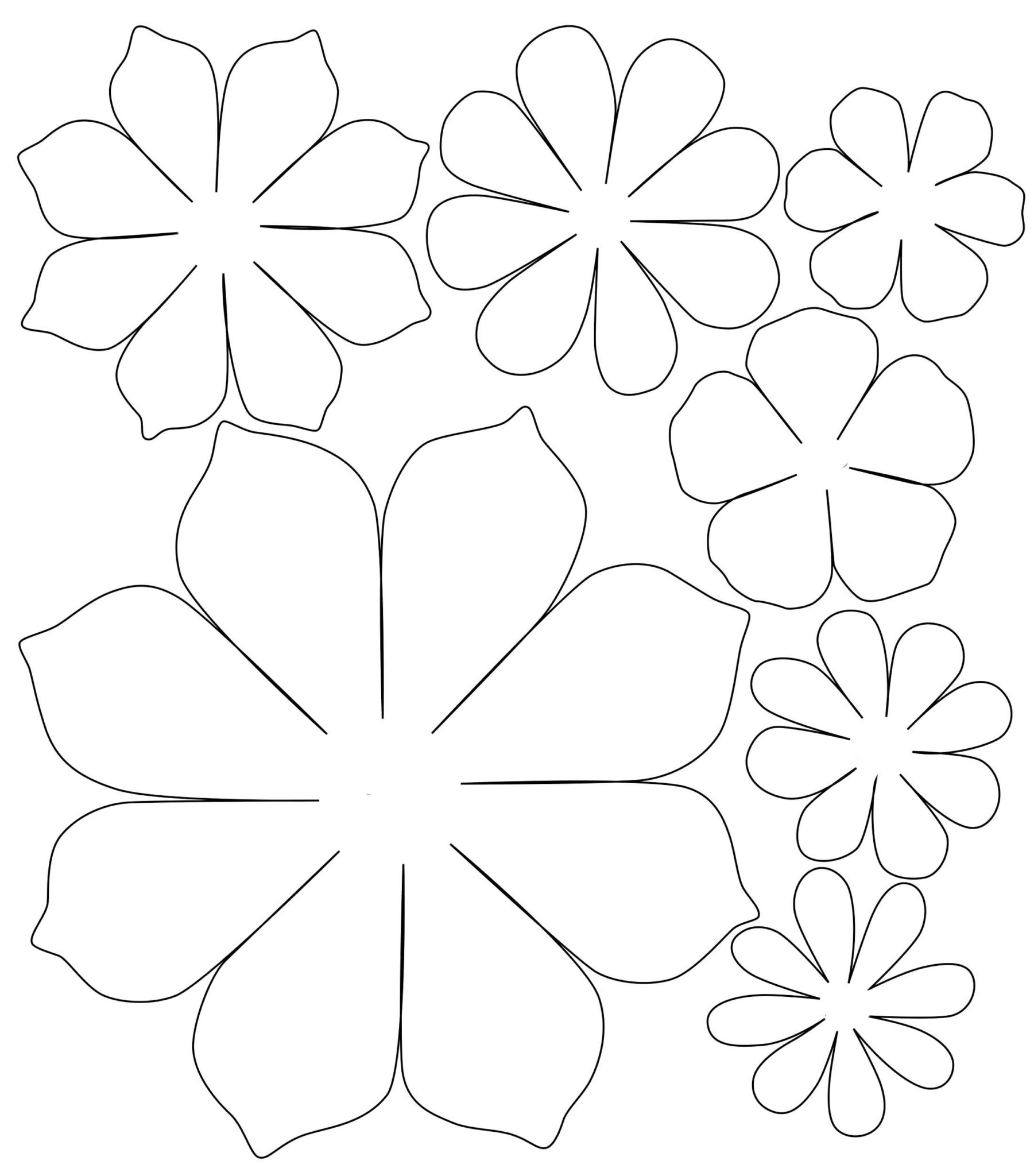 Moldes de Pétalas de Flor: 50+ modelos e ideias - Dicas Práticas