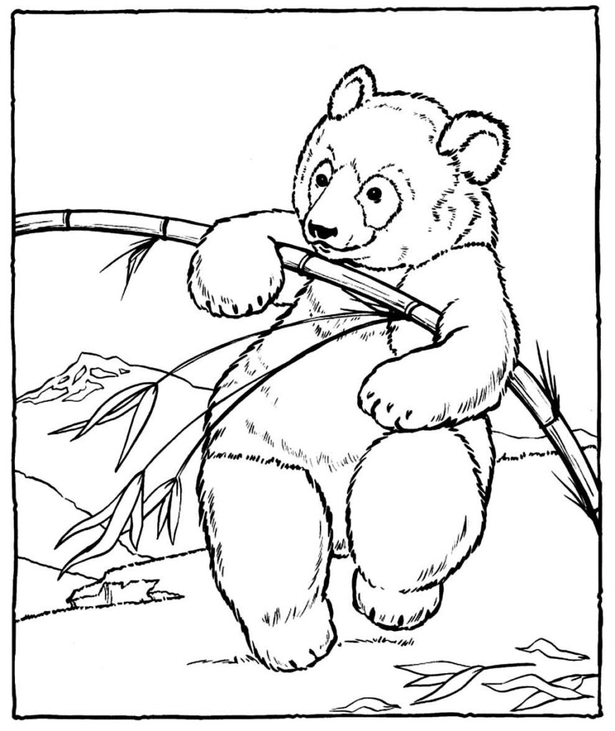 30+ Desenhos de Panda para colorir - Dicas Práticas