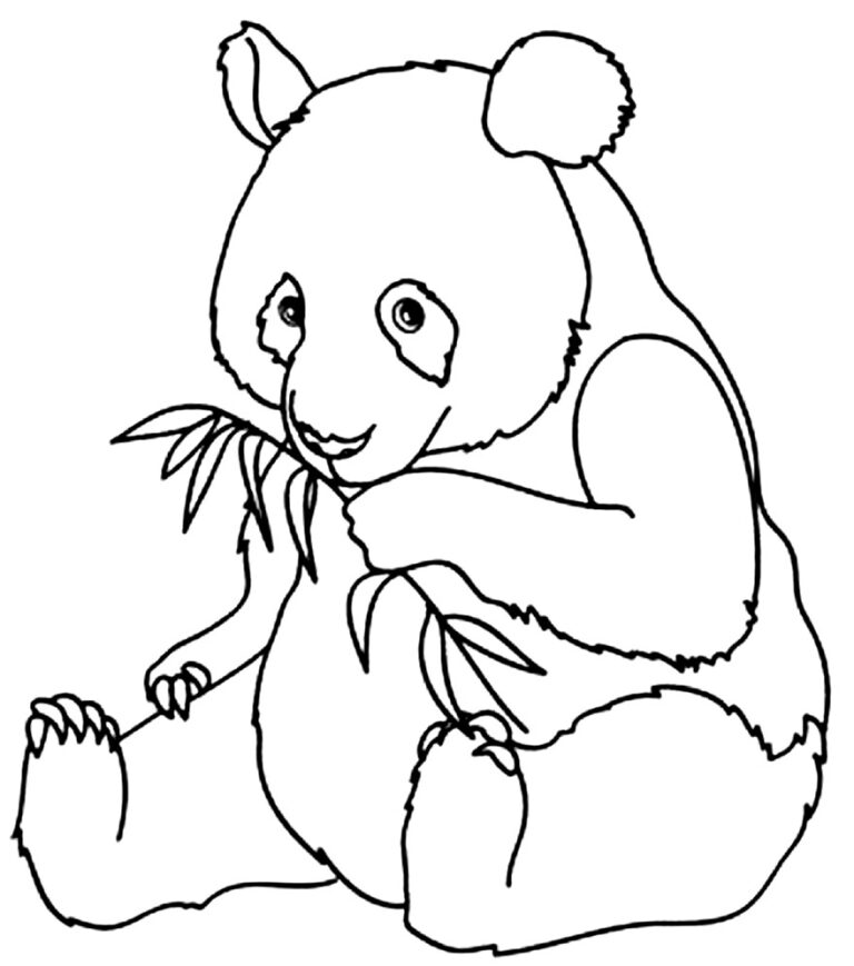 30+ Desenhos de Panda para colorir - Dicas Práticas