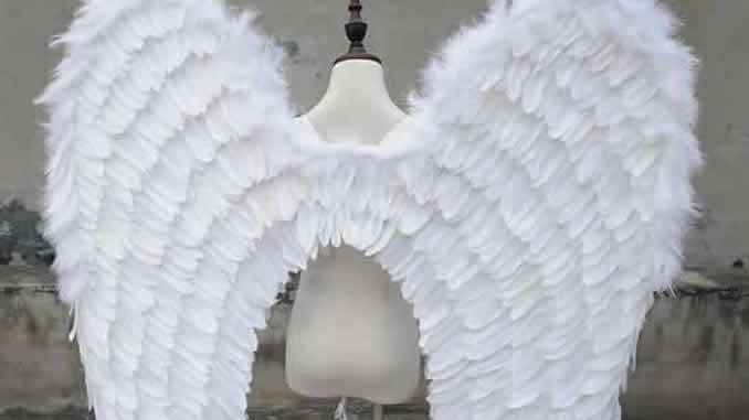 Desenhos De Asas De Anjo Passo A Passo Como Fazer Asas De Anjo?